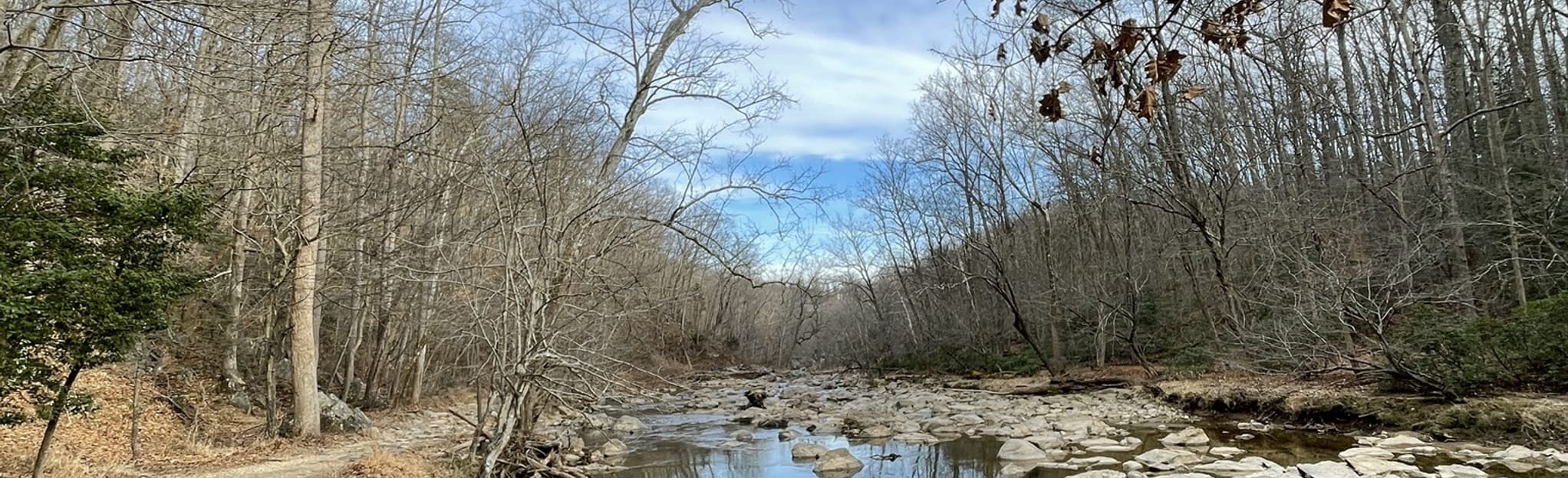 Great Falls Park from Difficult Run - Virginia | AllTrails