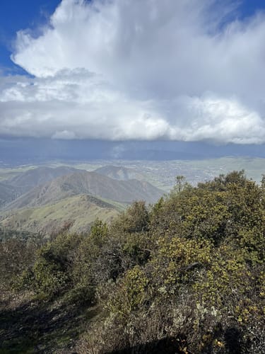 2023 Best 10 Hard Trails in Mount Diablo State Park | AllTrails