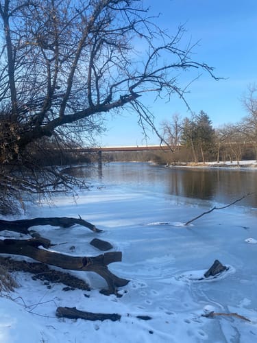 Best Hikes and Trails in Brunner Family Forest Preserve | AllTrails