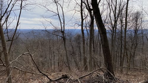 William Penn State Forest : les meilleures randonnées en 2023 | AllTrails