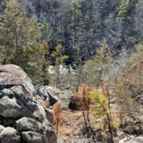 Crane Lake Trail, Missouri - 113 Reviews, Map | AllTrails