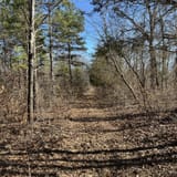 Crane Lake Trail, Missouri - 138 Reviews, Map | AllTrails
