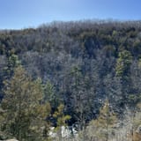 Crane Lake Trail, Missouri - 113 Reviews, Map | AllTrails