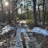 Crane Lake Trail, Missouri - 138 Reviews, Map | AllTrails