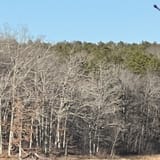 Crane Lake Trail, Missouri - 138 Reviews, Map | AllTrails