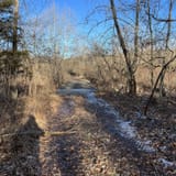 Crane Lake Trail, Missouri - 138 Reviews, Map | AllTrails