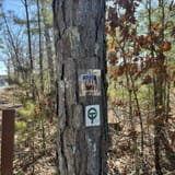 Crane Lake Trail, Missouri - 117 Reviews, Map | AllTrails