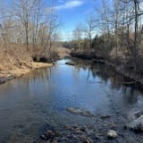 Crane Lake Trail, Missouri - 138 Reviews, Map | AllTrails