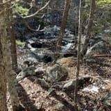 Crane Lake Trail, Missouri - 117 Reviews, Map | AllTrails