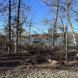 Crane Lake Trail, Missouri - 138 Reviews, Map | AllTrails