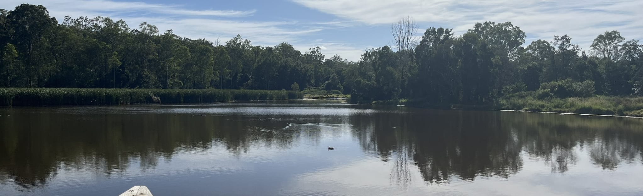 Spring Mountain Reserve Circuit, Queensland, Australia - 28 Reviews ...