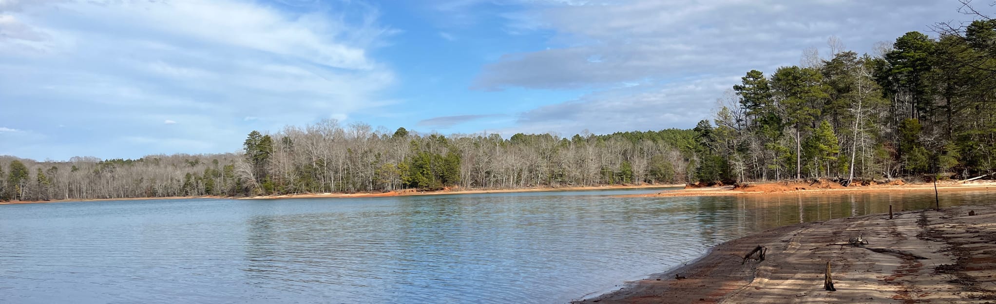 Chicken Logging Rd and Double Fork Tree Loop, South Carolina - 137 ...
