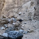 Spooky Canyon, California - 80 Reviews, Map | AllTrails