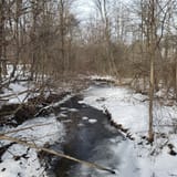 Genesee County Park and Forest Trail, New York - 284 Reviews, Map ...