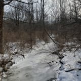 Genesee County Park and Forest Trail, New York - 284 Reviews, Map ...