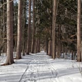 Genesee County Park and Forest Trail, New York - 284 Reviews, Map ...