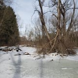 Genesee County Park and Forest Trail, New York - 284 Reviews, Map ...