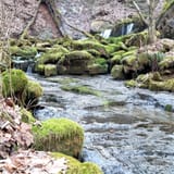 Cave River Valley Trail, Indiana - 206 Reviews, Map | AllTrails