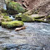 Cave River Valley Trail, Indiana - 206 Reviews, Map | AllTrails