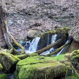 Cave River Valley Trail, Indiana - 206 Reviews, Map | AllTrails