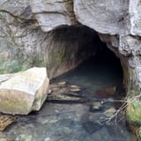 Cave River Valley Trail, Indiana - 206 Reviews, Map | AllTrails