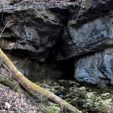 Cave River Valley Trail, Indiana - 206 Reviews, Map | AllTrails