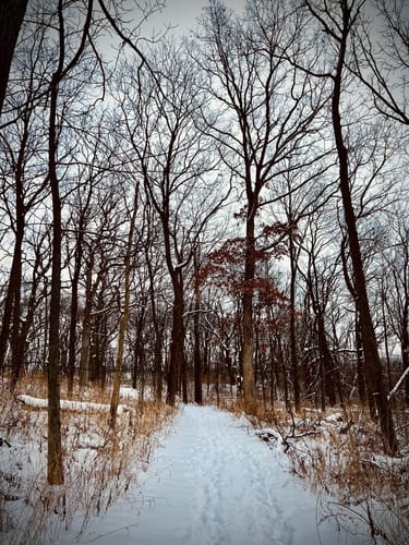 Best Hikes and Trails in Elburn Forest Preserve | AllTrails