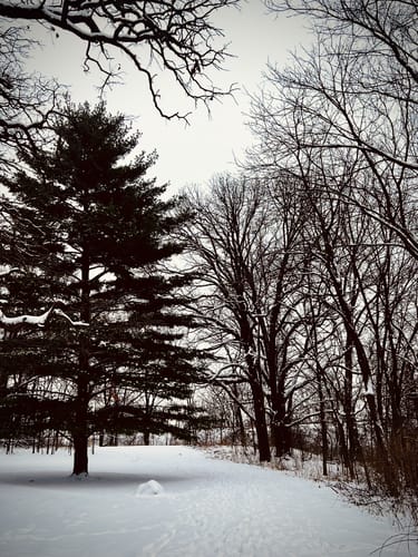 Best Hikes and Trails in Elburn Forest Preserve | AllTrails