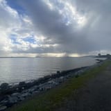 Albany Bulb, California - 378 Reviews, Map | AllTrails