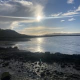 Albany Bulb, California - 378 Reviews, Map | AllTrails