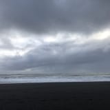 Damon Point State Park Trail, Washington - 476 Reviews, Map | AllTrails