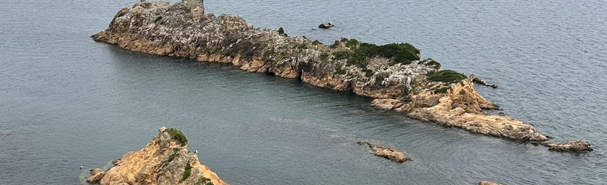 Matiu / Somes Island Loop Trail: 43 Reviews, Map - Wellington, New ...