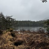 Perseverance Lake Trail, Alaska - 223 Reviews, Map | AllTrails