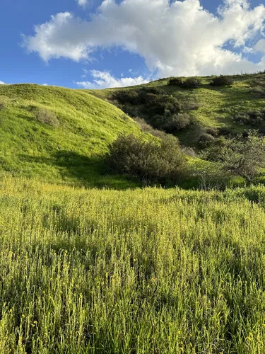 10 Best Trails and Hikes in Redlands | AllTrails