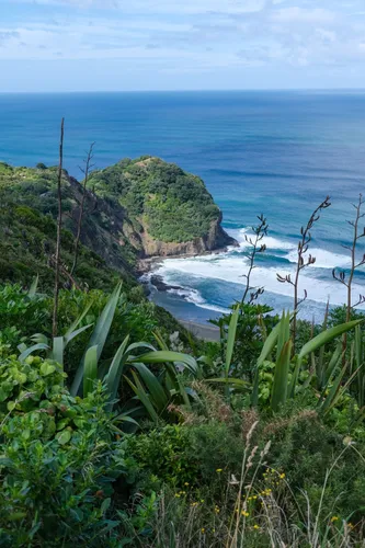 Best Camping Trails in Piha | AllTrails