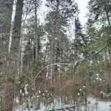 Lost '40' Trail, Minnesota - 172 Reviews, Map | AllTrails