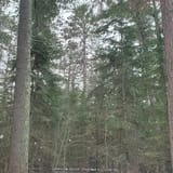 Lost '40' Trail, Minnesota - 172 Reviews, Map | AllTrails