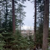 Lost '40' Trail, Minnesota - 172 Reviews, Map | AllTrails