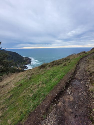Best 10 Hikes and Trails in Cape Perpetua Scenic Area | AllTrails