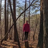 Tree Top Nature Trail, Alabama - 359 Reviews, Map | AllTrails