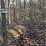Tree Top Nature Trail, Alabama - 359 Reviews, Map | AllTrails