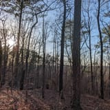 Tree Top Nature Trail, Alabama - 359 Reviews, Map | AllTrails