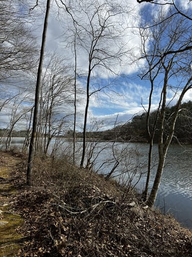 2023 Best Forest Trails in Charlie Elliott Wildlife Center | AllTrails