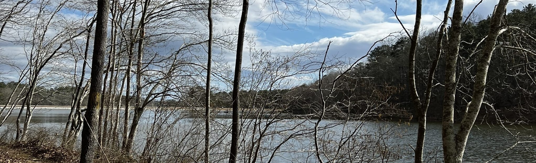 CEWC Yellow, Blue, and Red Trail: 26 Reviews, Map - Georgia | AllTrails