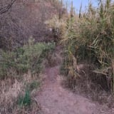 Sheep Bridge Hot Spring via FR 269, Arizona - 47 Reviews, Map | AllTrails