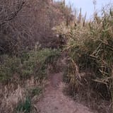 Sheep Bridge Hot Spring via FR 269, Arizona - 47 Reviews, Map | AllTrails