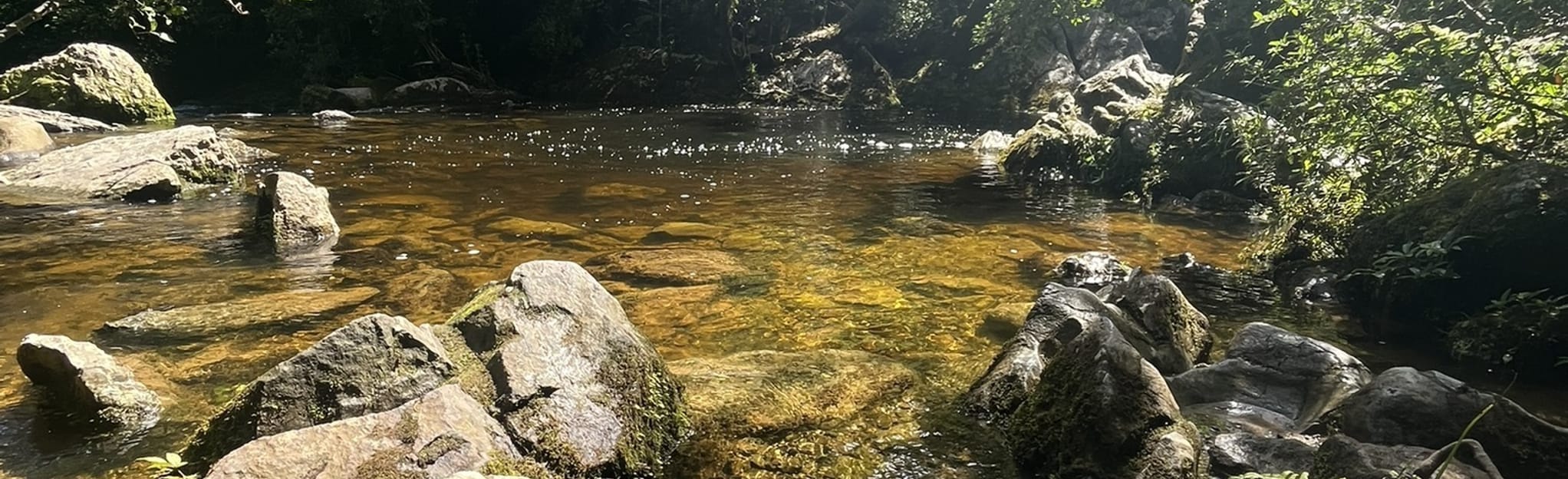 Te Puna Wai o Riuwaka Resurgence Walk, Nelson-Tasman, New Zealand - 22 ...