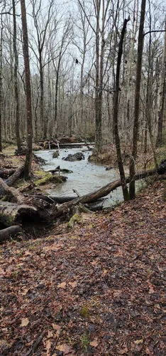 Best Hikes and Trails in Wilson Park | AllTrails