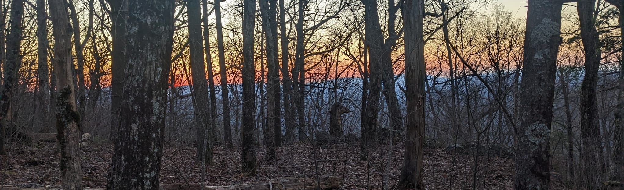 Duncan Ridge Trail: 75 Reviews, Map - Georgia | AllTrails