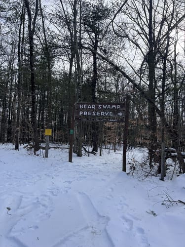 Best Hikes and Trails in Bear Swamp Preserve | AllTrails